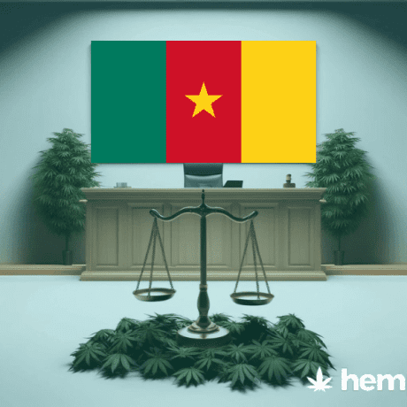 Is Cannabis legal in China? – Update 2024 – Hemppedia