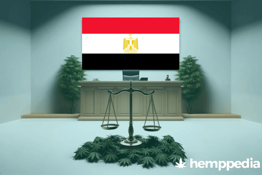 Is Cannabis legal in Egypt? – Update 2024 – Hemppedia